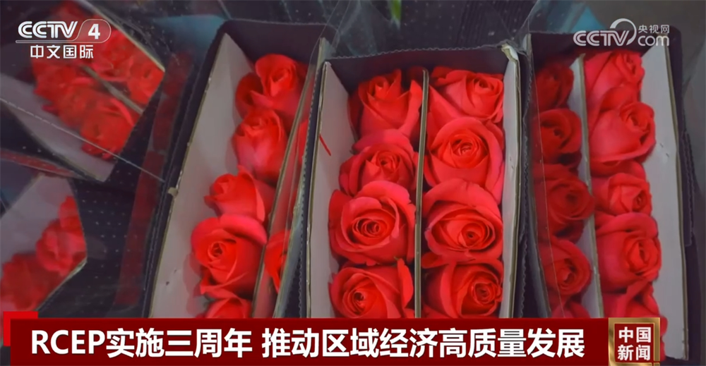 38.57万亿元、90%、6小时……三周年！RCEP推动区域经济高质量发展 - 西部网（陕西新闻网）