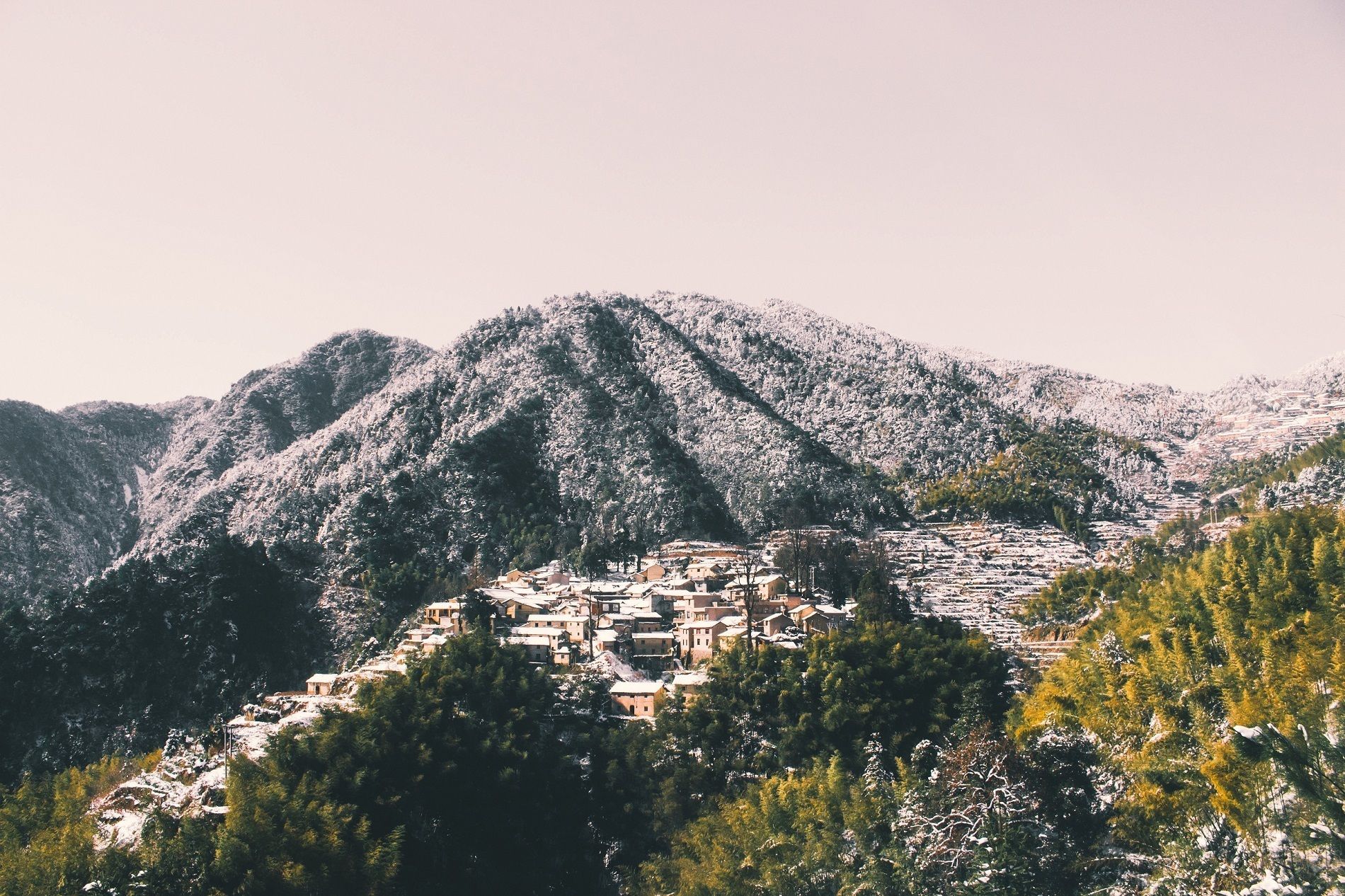 “走进绿水青山 解码‘丽水之干’”——全国30名“学习强国”编辑记者处州行走进松阳 - 西部网（陕西新闻网）